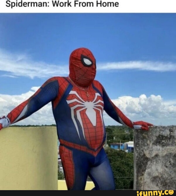 Spiderman: Work From Home - iFunny