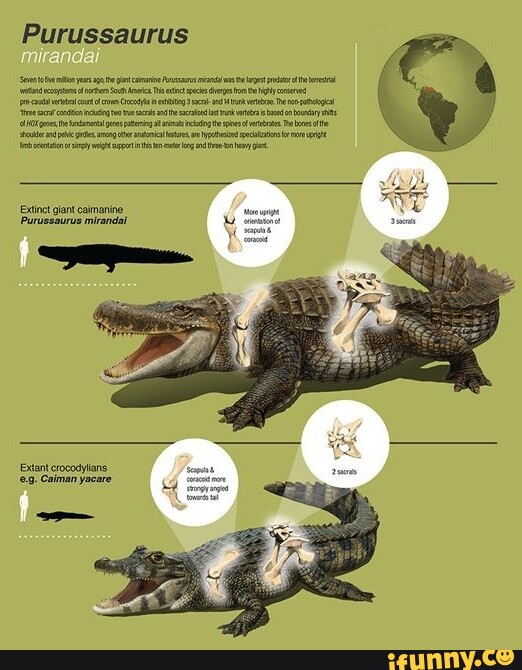 Extant memes. Best Collection of funny Extant pictures on iFunny