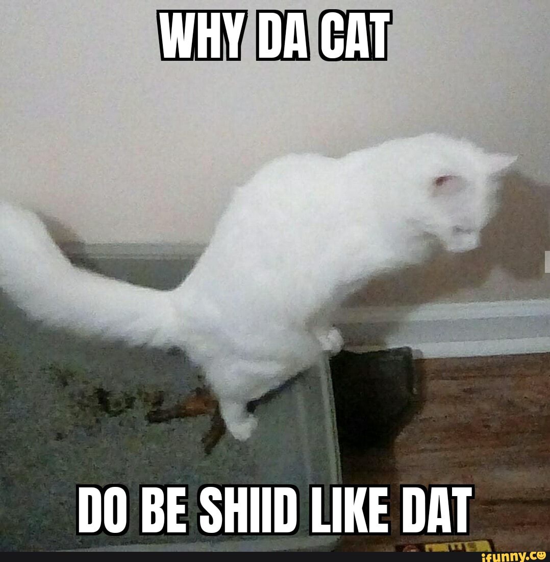 Shiid memes. Best Collection of funny Shiid pictures on iFunny