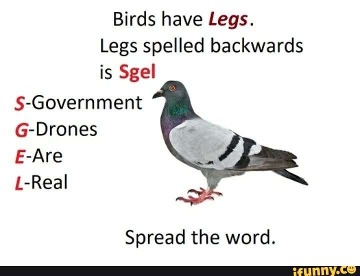 Birds have Legs. Legs spelled backwards is Sgel _ S-Government Drones ...
