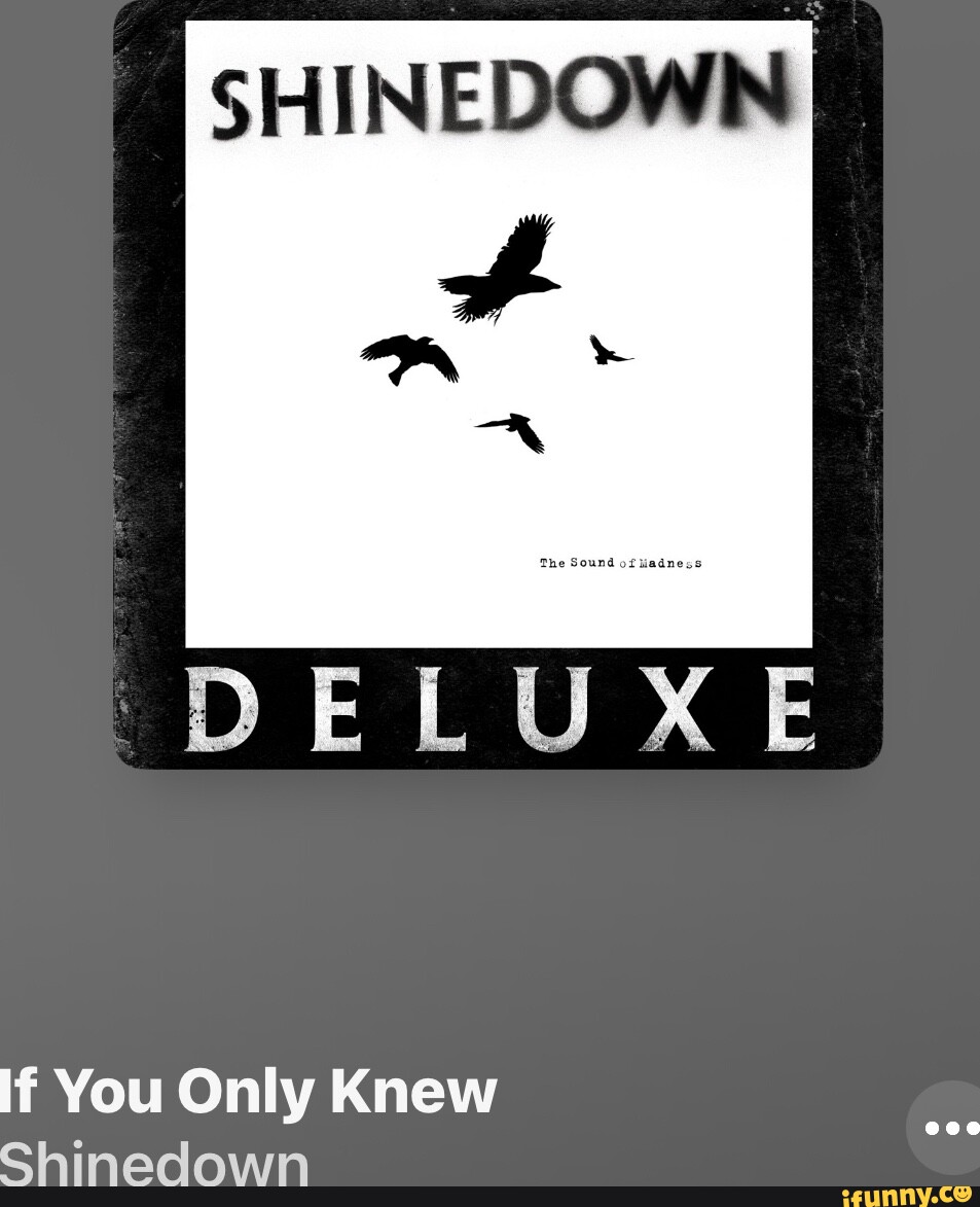 Shinedown memes memes. The best memes on iFunny