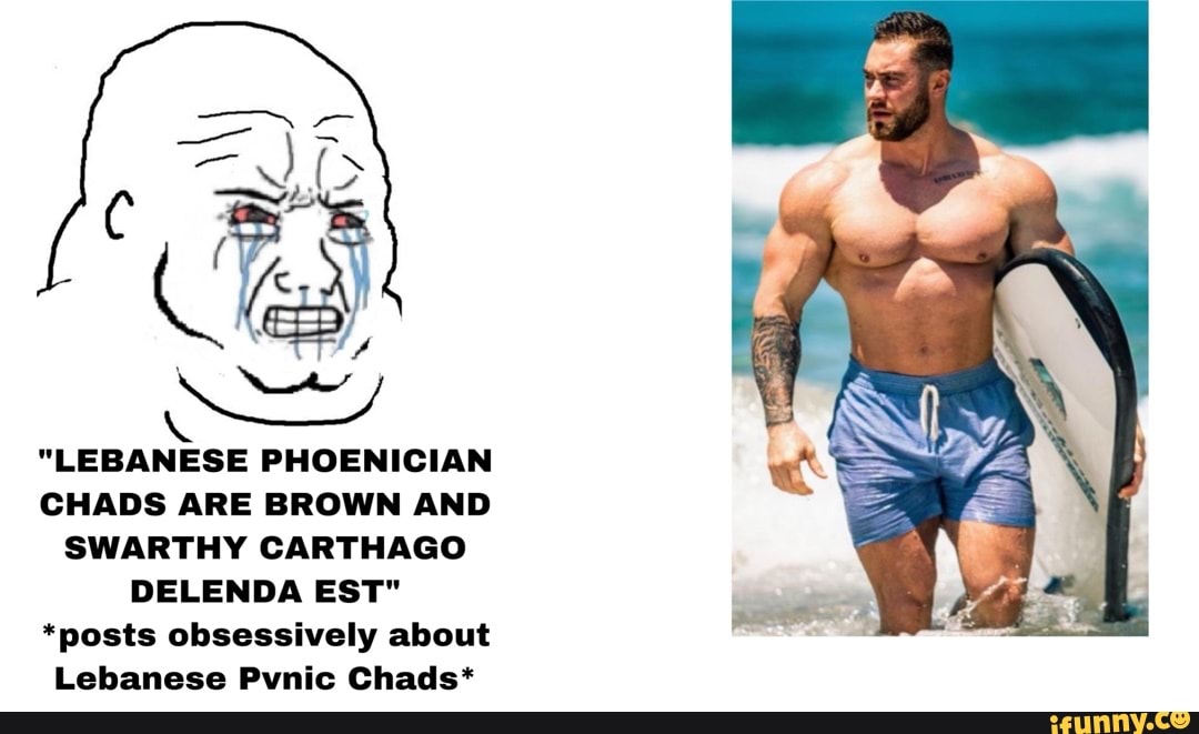 Carthago memes. Best Collection of funny Carthago pictures on iFunny