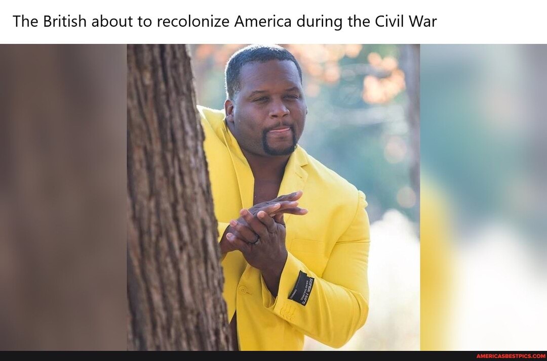The British about to recolonize America during the Civil War - America ...