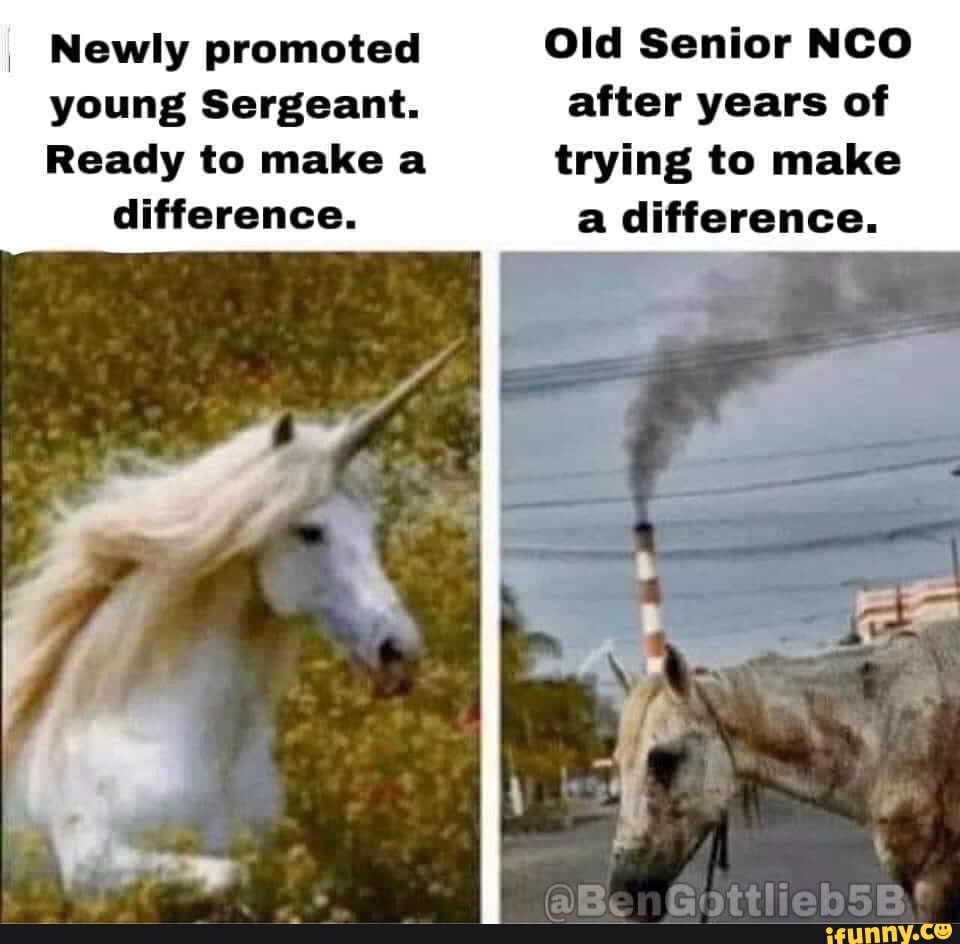 Newly promoted Old Senior NCO young Sergeant. after years of Ready to ...