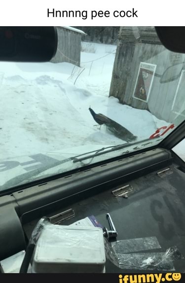 Hnnnng memes. Best Collection of funny Hnnnng pictures on iFunny