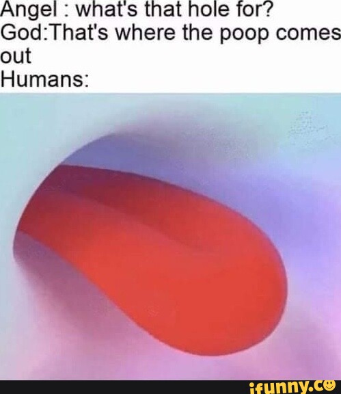 Angel : wnats that hole for? where the poop comes out Humans: - iFunny
