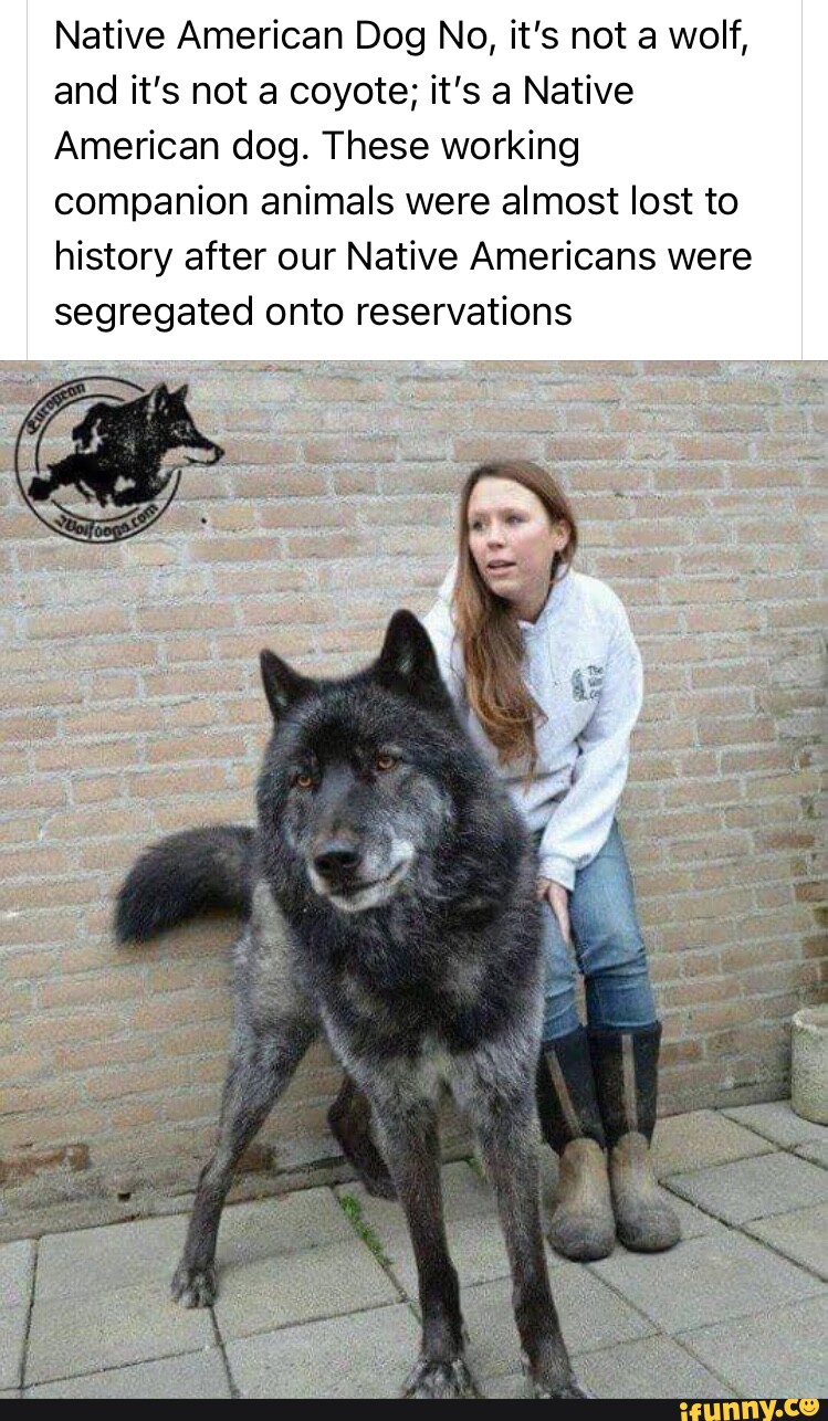 Reservations memes. Best Collection of funny Reservations pictures on ...