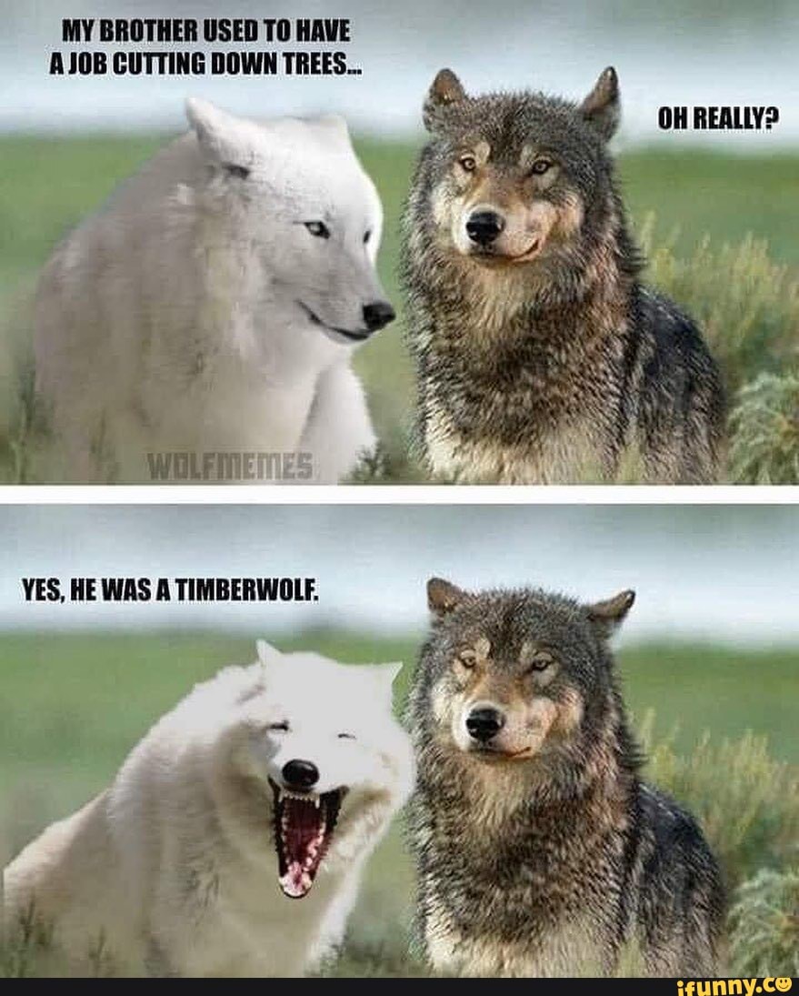 Timberwolf memes. Best Collection of funny Timberwolf pictures on iFunny