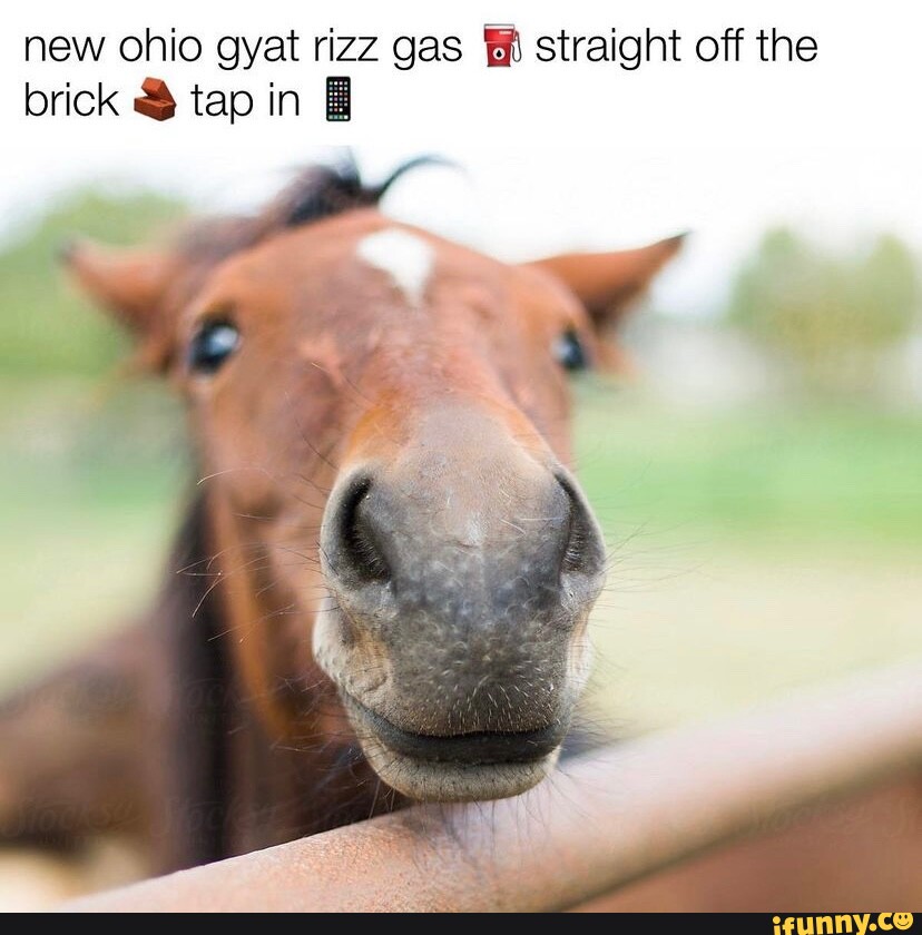Gyat memes. Best Collection of funny Gyat pictures on iFunny