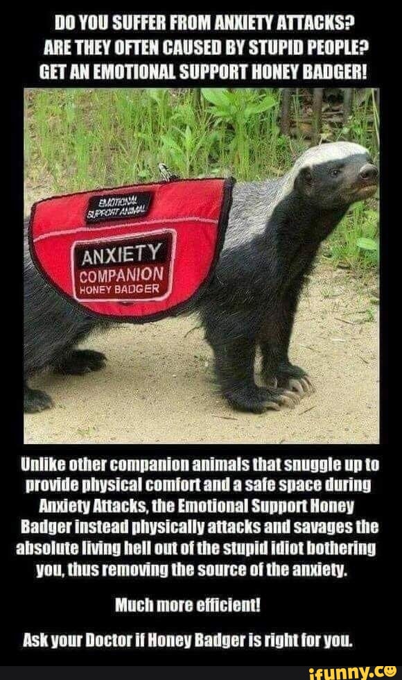 Snuggle memes. Best Collection of funny Snuggle pictures on iFunny