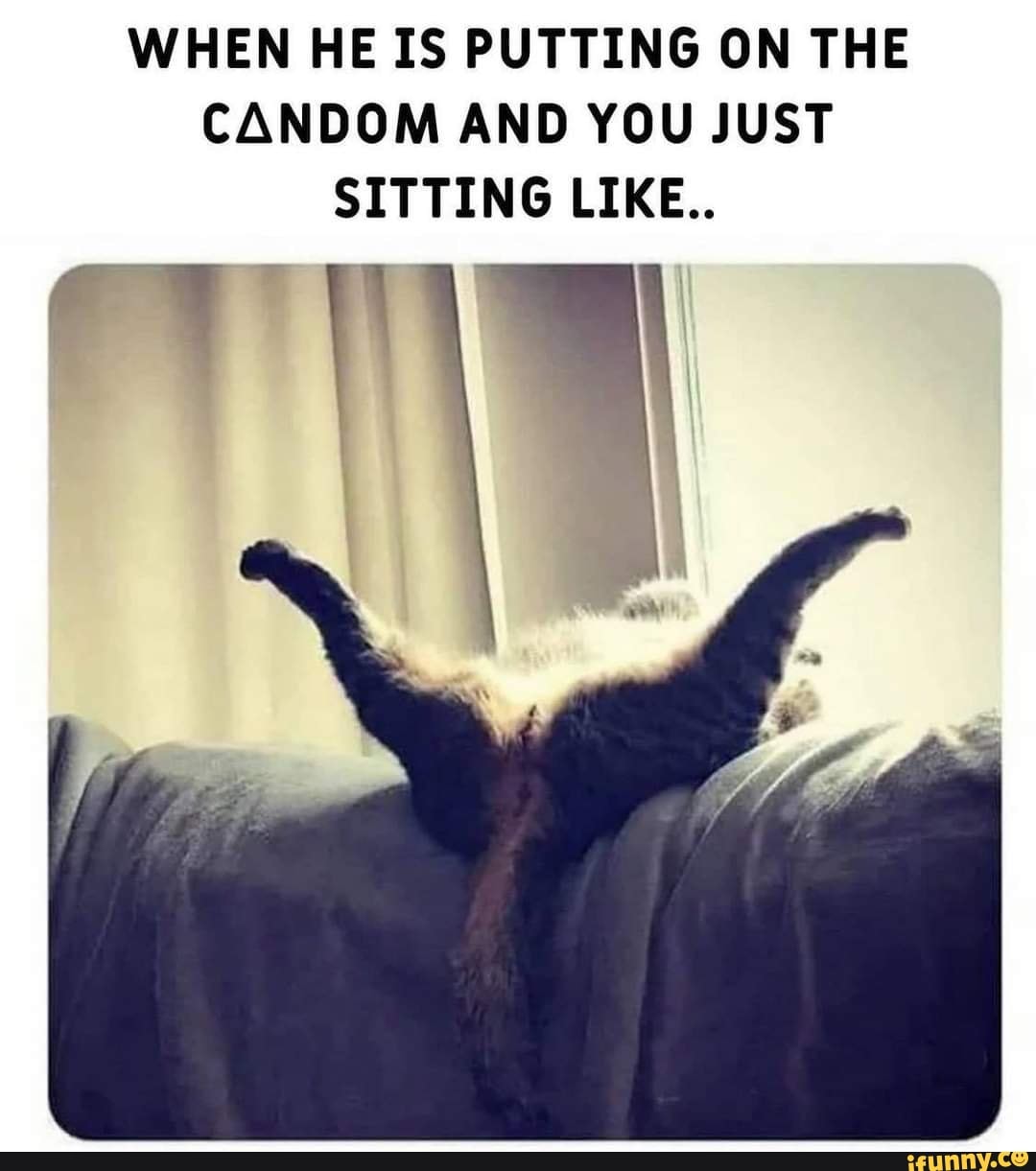 Candom memes. Best Collection of funny Candom pictures on iFunny