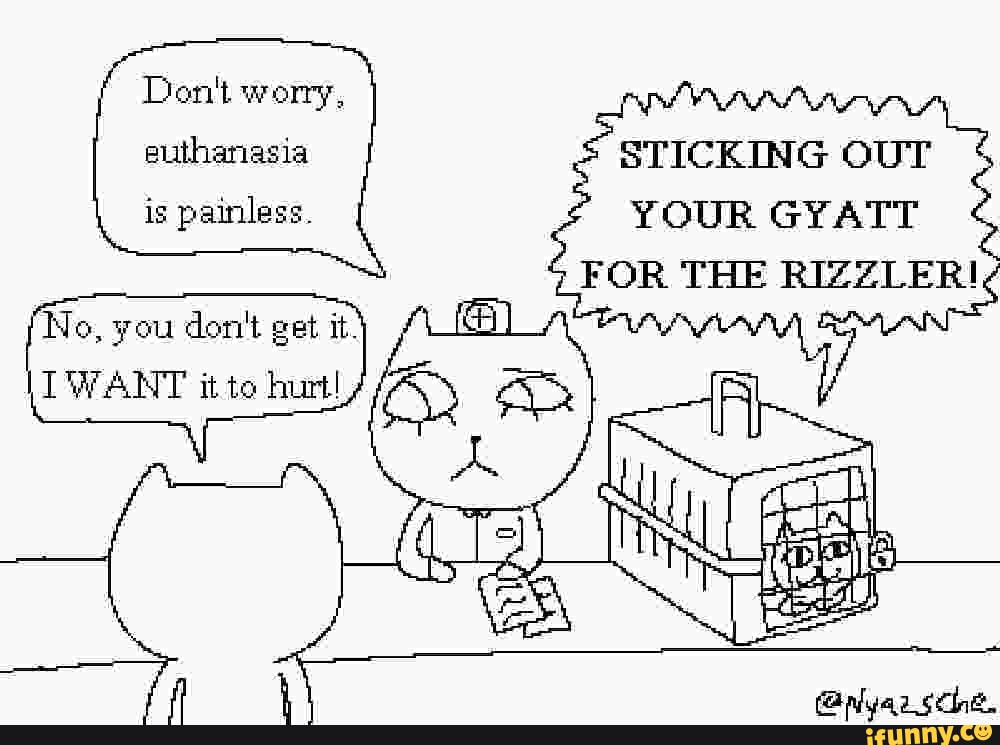 Video memes oYqlWtXyA by Yeetmymeat69 - iFunny