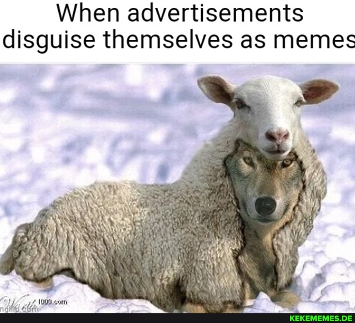 When advertisements disguise themselves as memes - Keke