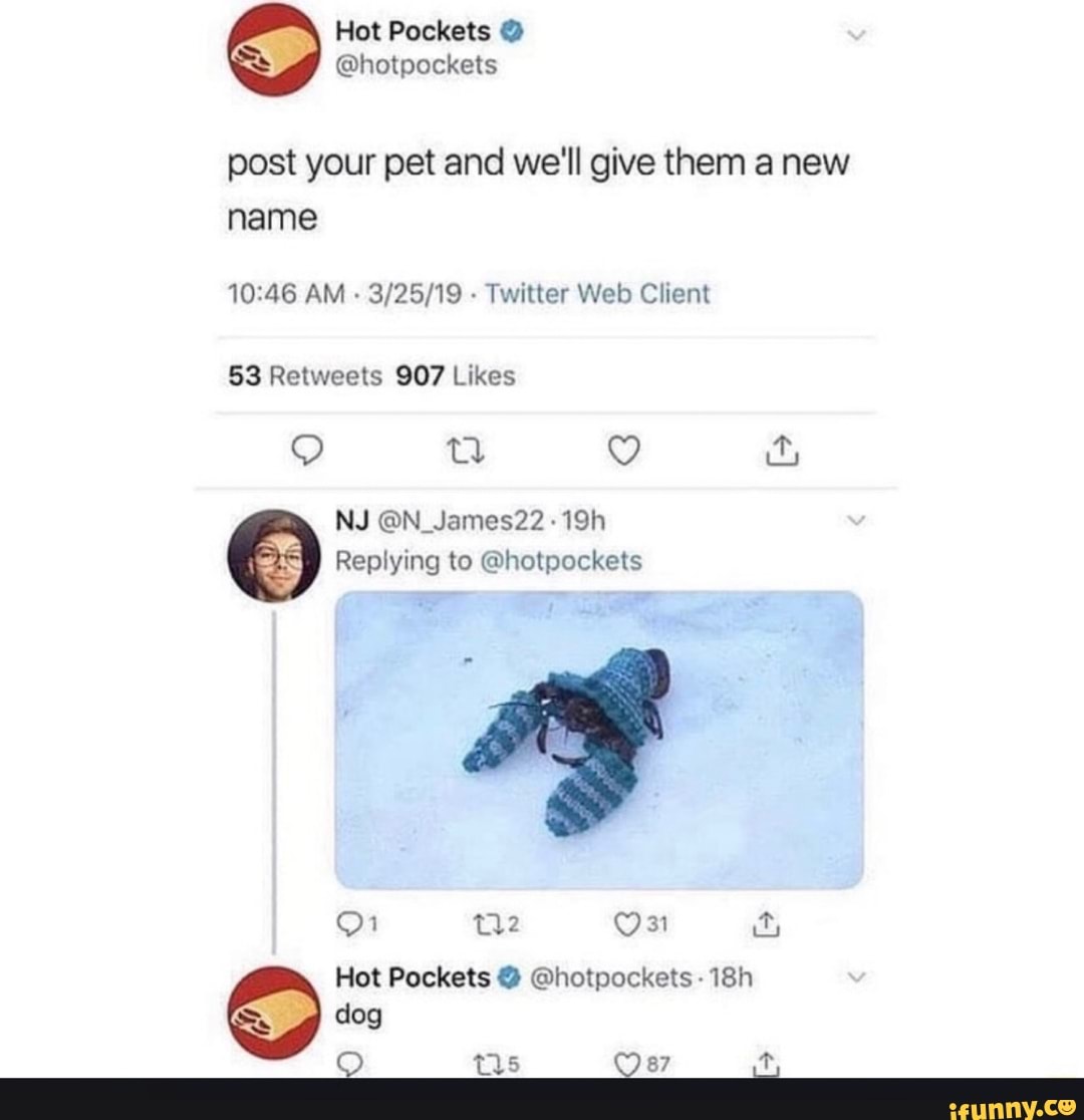 Hot Pockets post your pet and we'll give them a new name AM - - Twitter ...