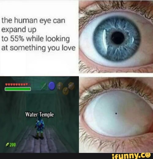 The human eye can expand up to 55% while looking at something you love ...