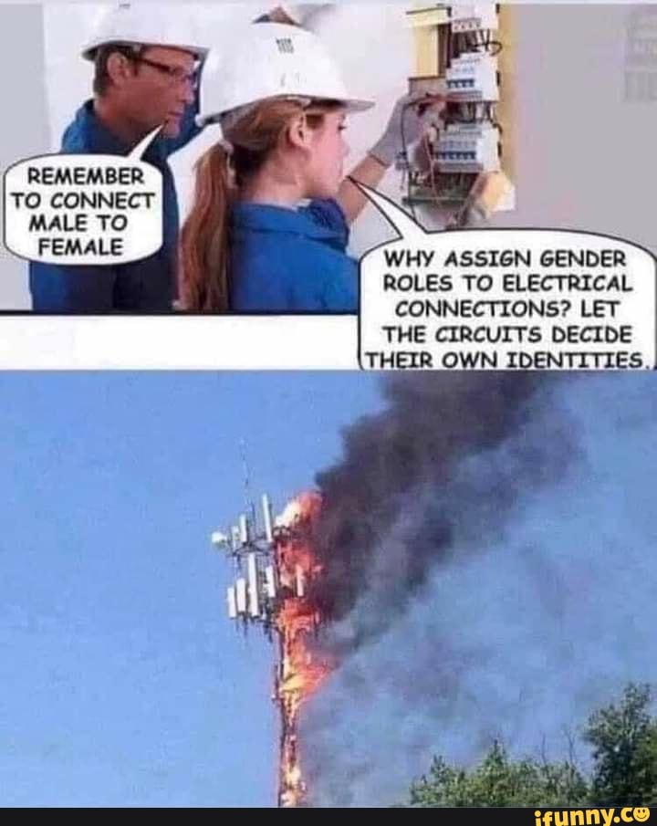 REMEMBER TO CONNECT MALE TO FEMALE WHY ASSIGN GENDER ROLES TO ...