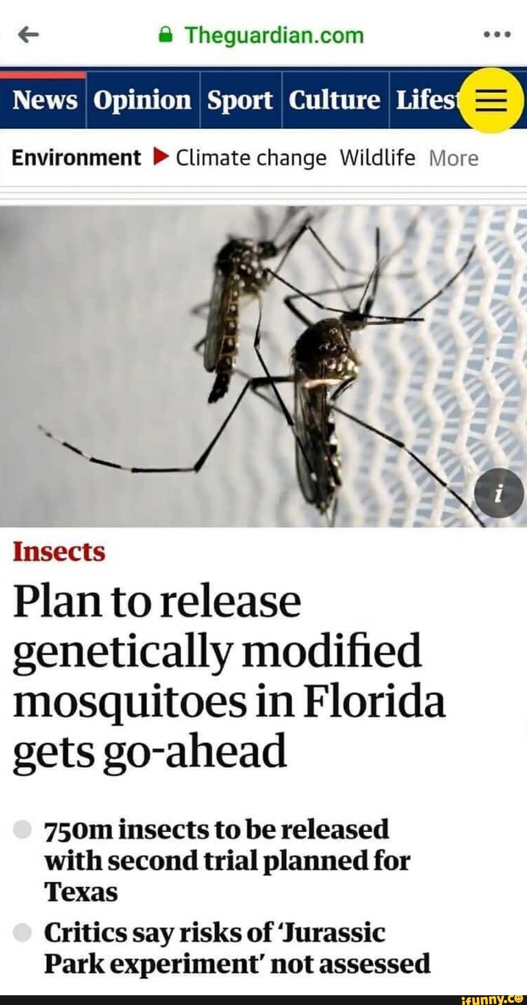 Theguardian.com News Opinion Sport Culture Lifesg== Environment Climate ...