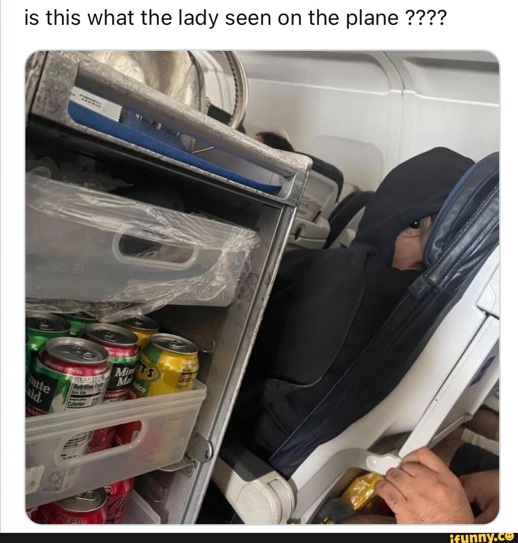 Is this what the lady seen on the plane - iFunny