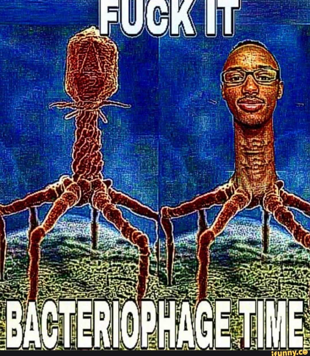 Bacteriophage memes. Best Collection of funny Bacteriophage pictures on ...