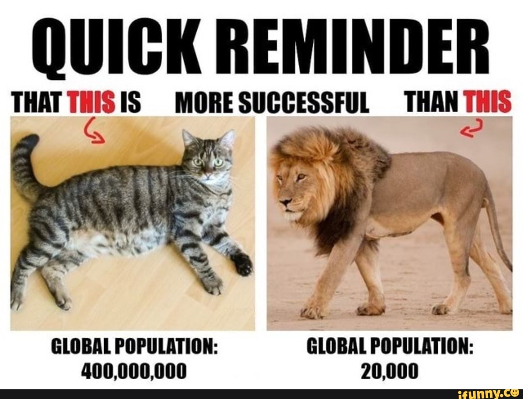 THAT IS MORESUCCESSFUL THAN THIS GLOBAL POPULATION: GLOBAL POPULATION ...