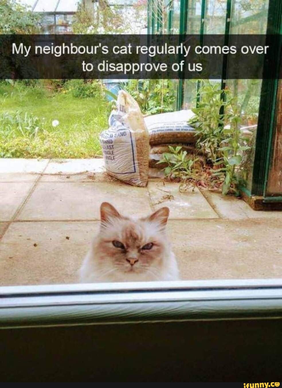 Disapprove memes. Best Collection of funny Disapprove pictures on iFunny