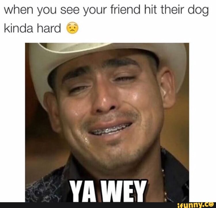 Wuey memes. Best Collection of funny Wuey pictures on iFunny