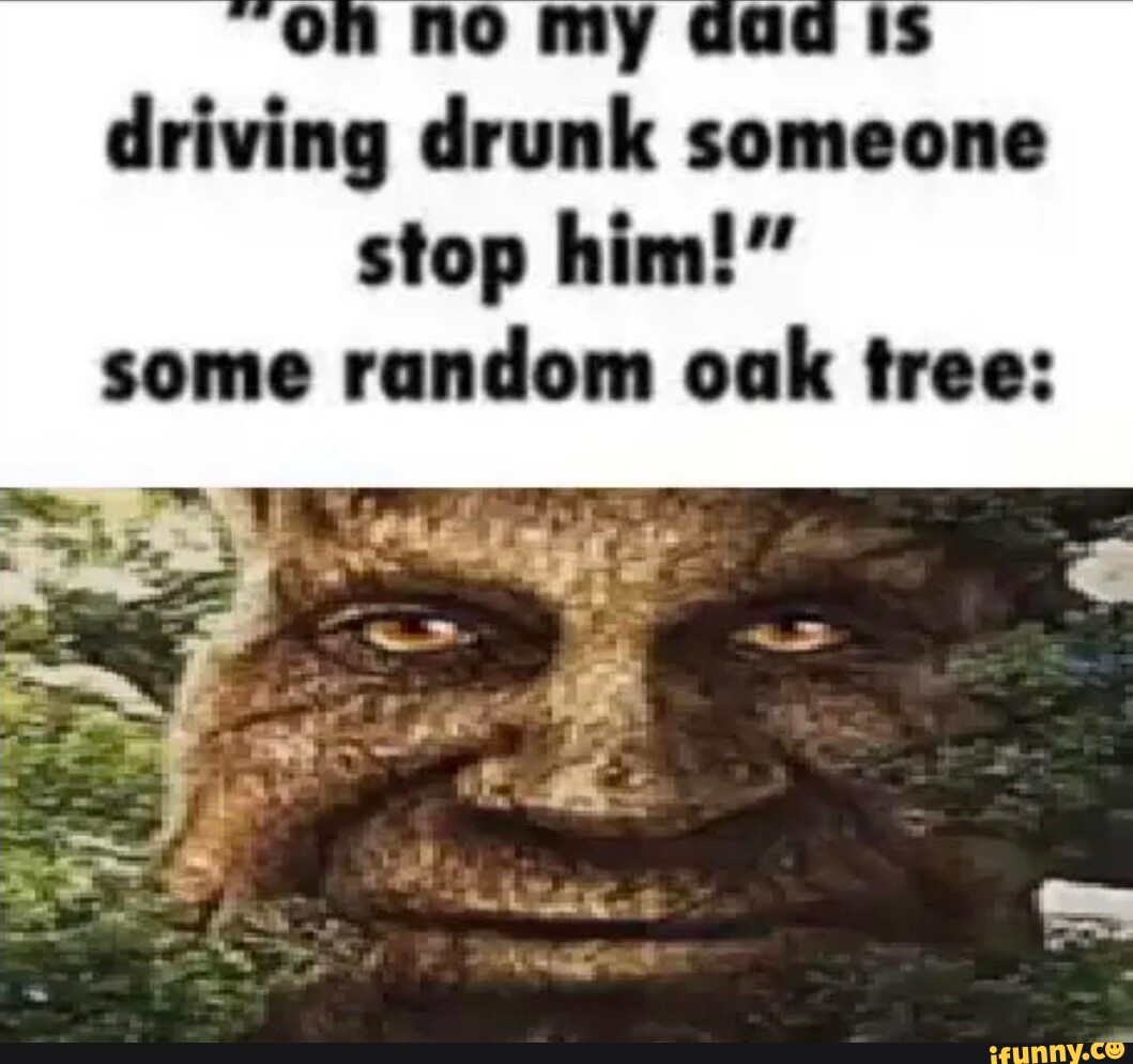 Driving drunk someone stop him!" some random oak tree: - iFunny