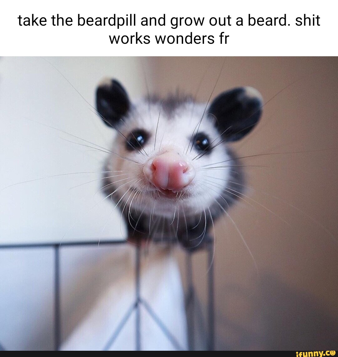 Take the beardpill and grow out a beard. shit works wonders fr - iFunny