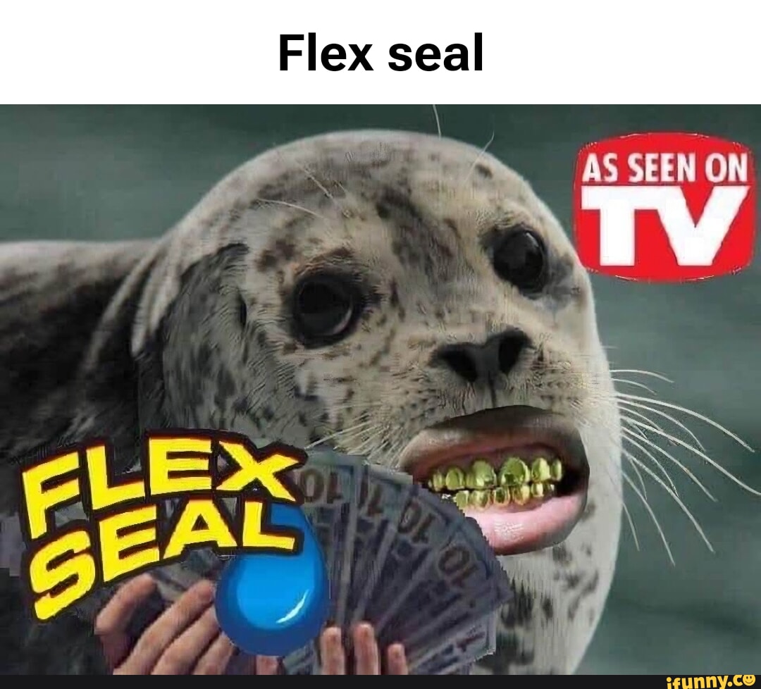 Flex memes. Best Collection of funny Flex pictures on iFunny