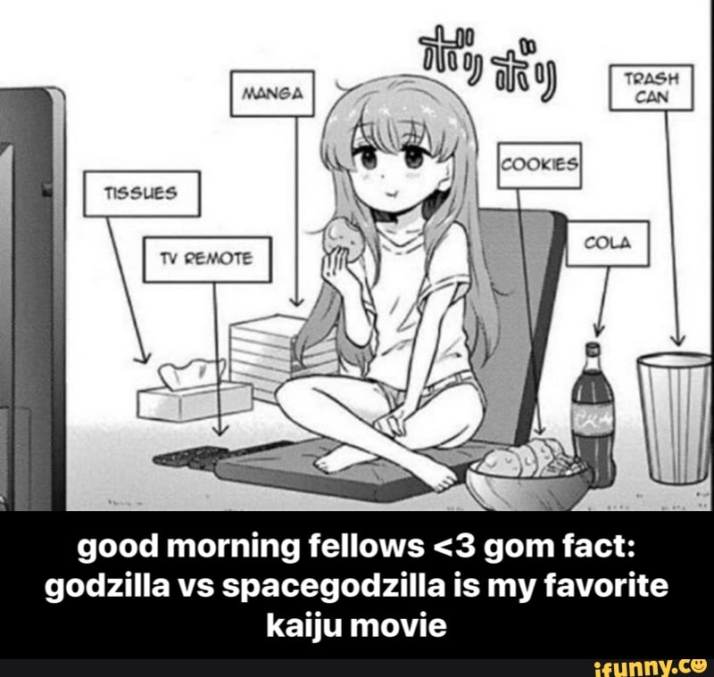 Good morning fellows