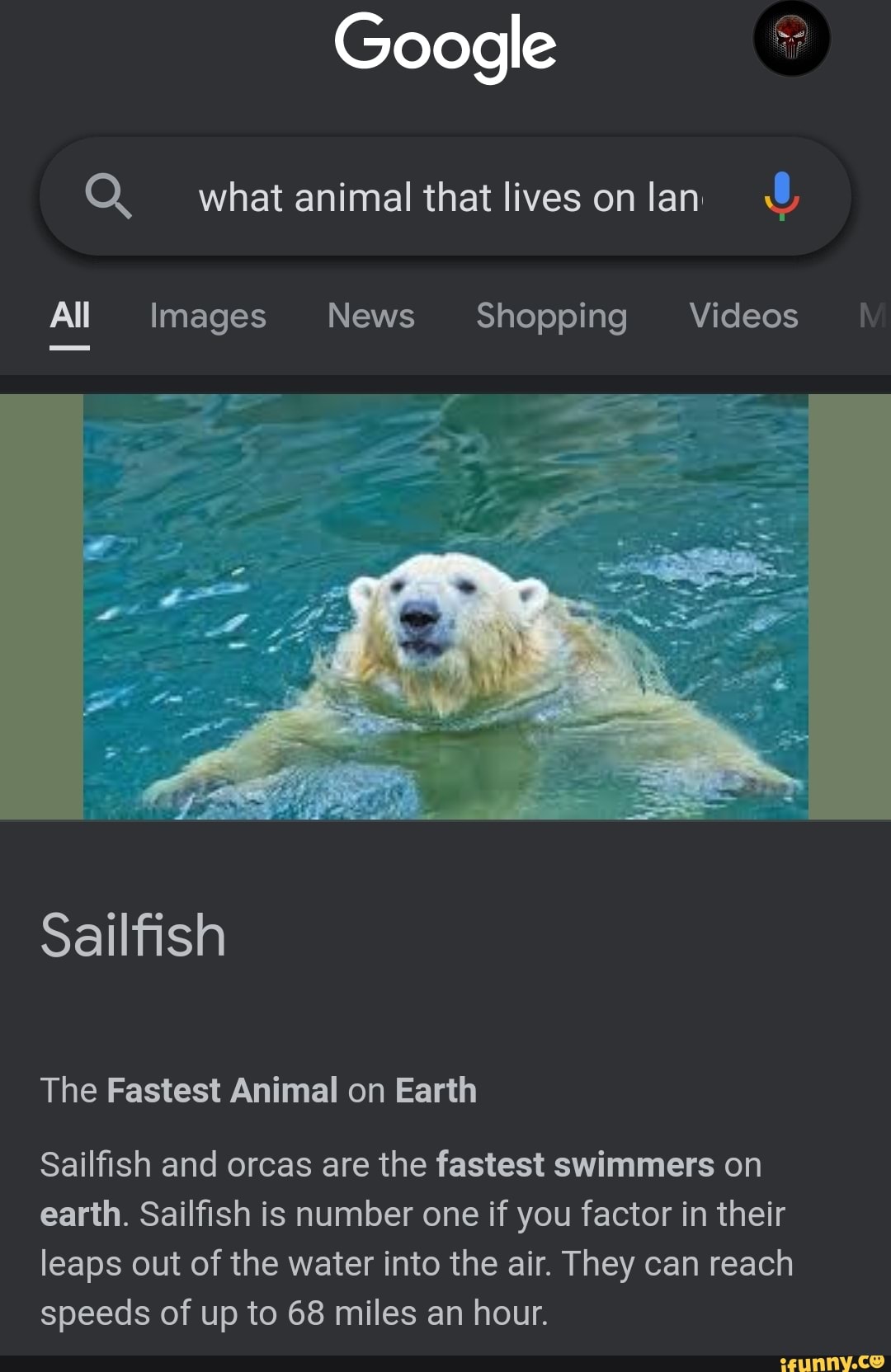 Sailfish memes. Best Collection of funny Sailfish pictures on iFunny