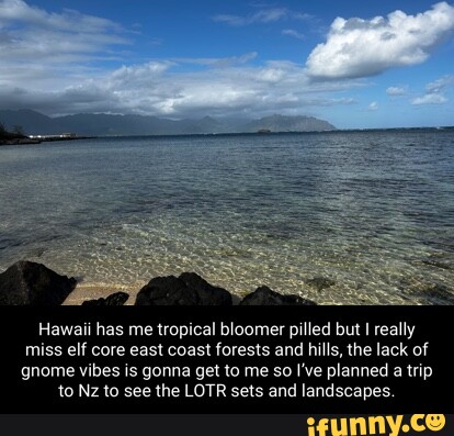 Tropical memes. Best Collection of funny Tropical pictures on iFunny