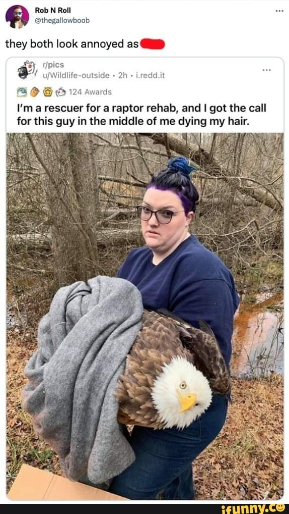 Rob Roll they both look annoyed as I'm a rescuer for a raptor rehab ...