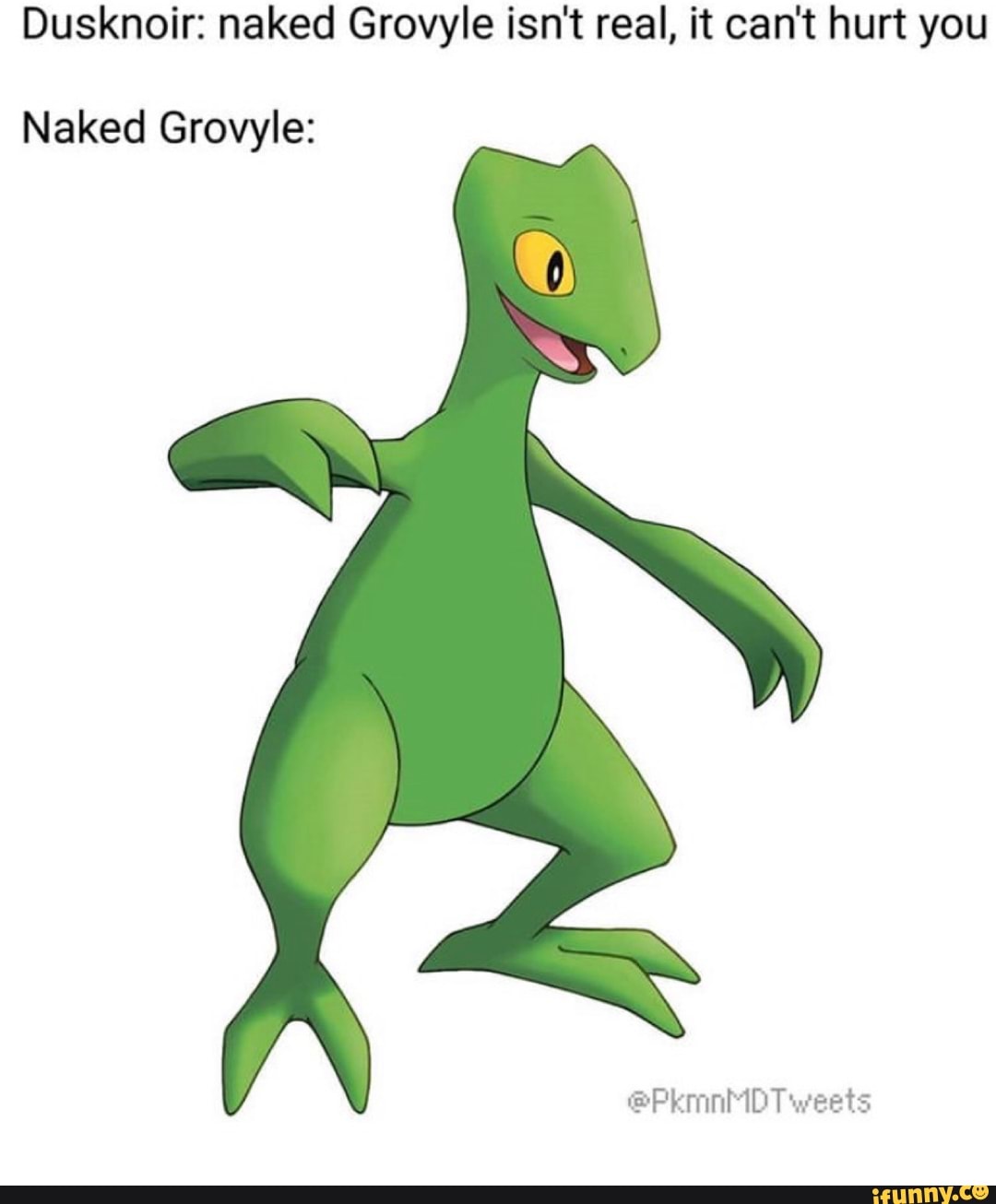 Dusknoir: naked Grovyle isn't real, it can't hurt you Naked Grovyle ...