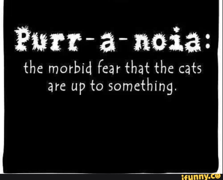 Morbid memes. Best Collection of funny Morbid pictures on iFunny