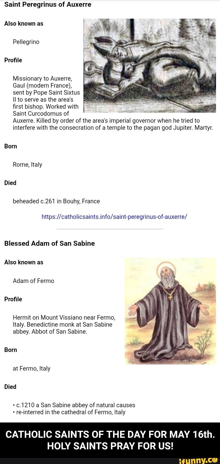 Pellegrino memes. Best Collection of funny Pellegrino pictures on iFunny