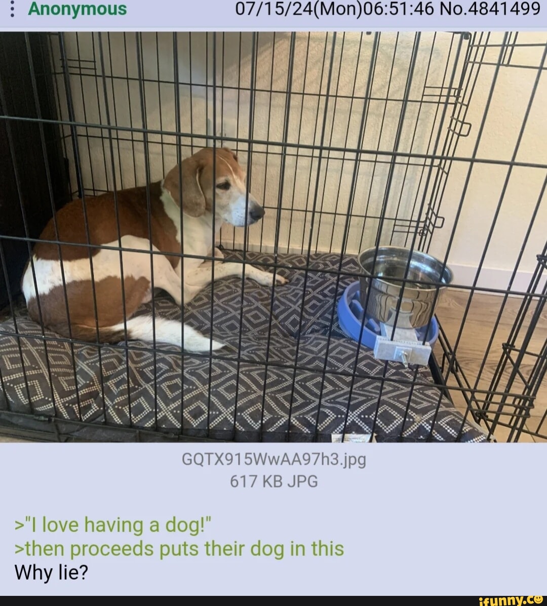 Nobody: Absolutely nobody: Me with my back problems - iFunny