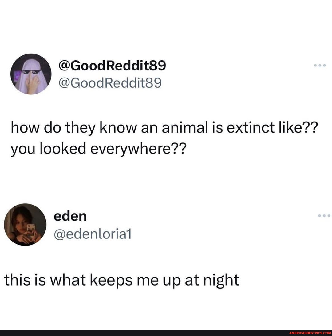 Someone tell me - @GoodReddik8S how do they know an animal is extinct ...