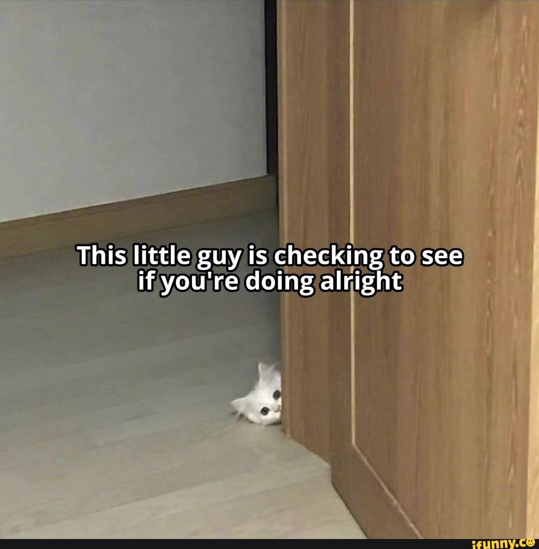 Your fingers have fingertips but your toes don’t have toetips, yet you ...