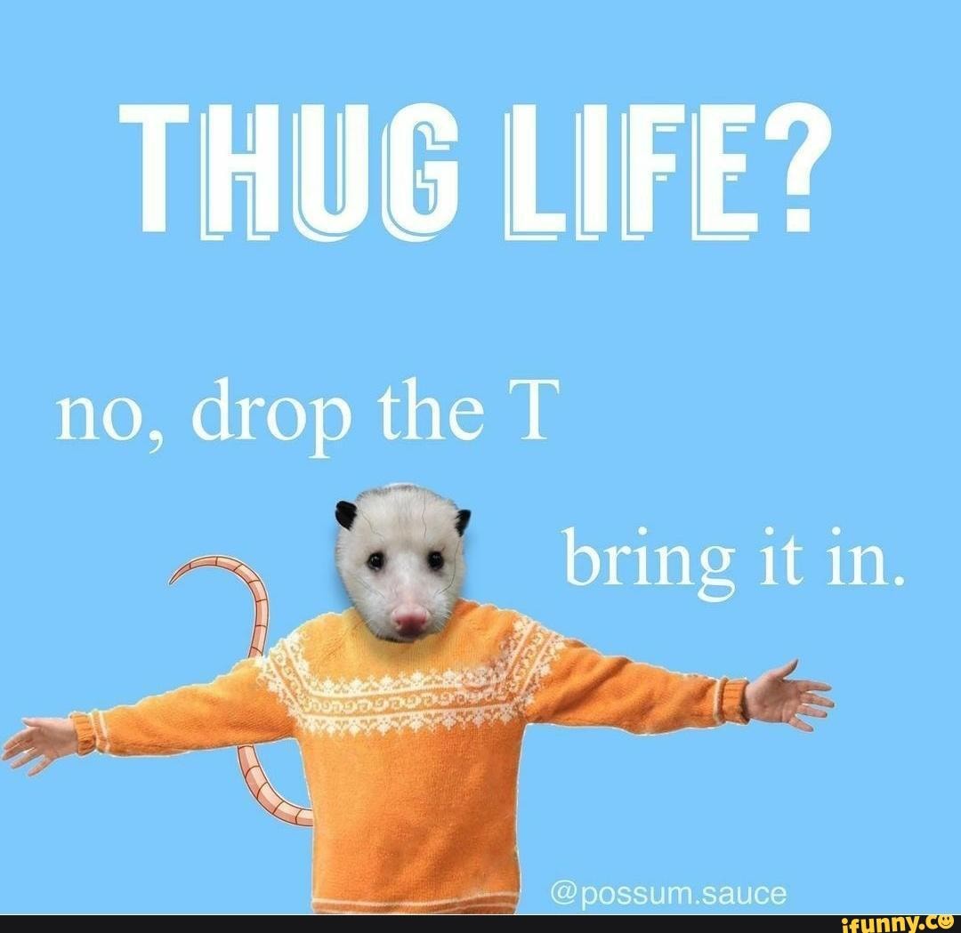Memes to send to people - THUG LIFE? no, drop the T bring it in. - iFunny