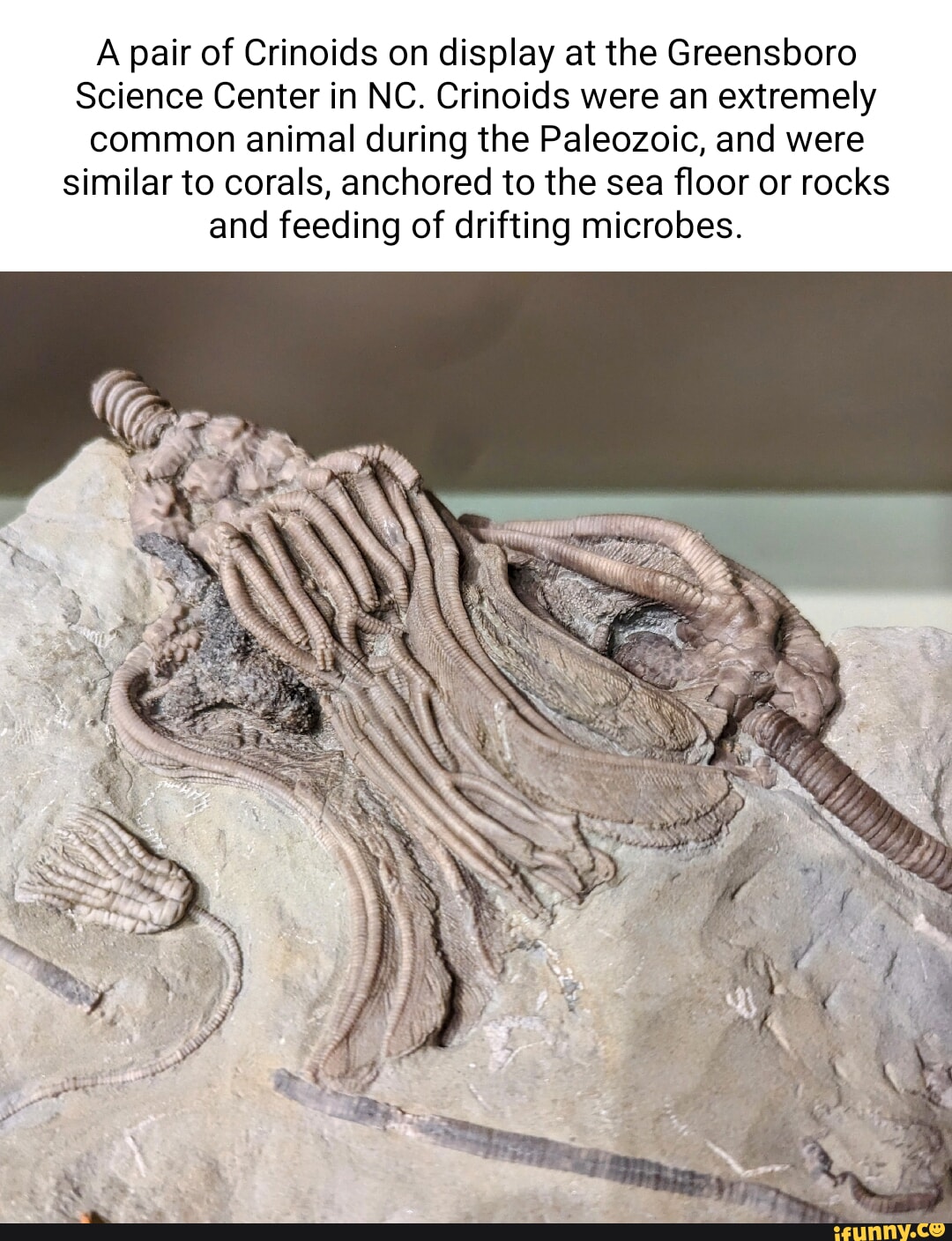 Don’t ask a girl where she wants to eat. Tell her to guess where you’re ...