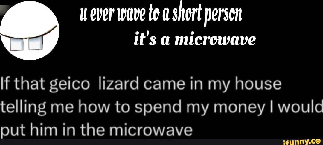 Geico memes. Best Collection of funny Geico pictures on iFunny