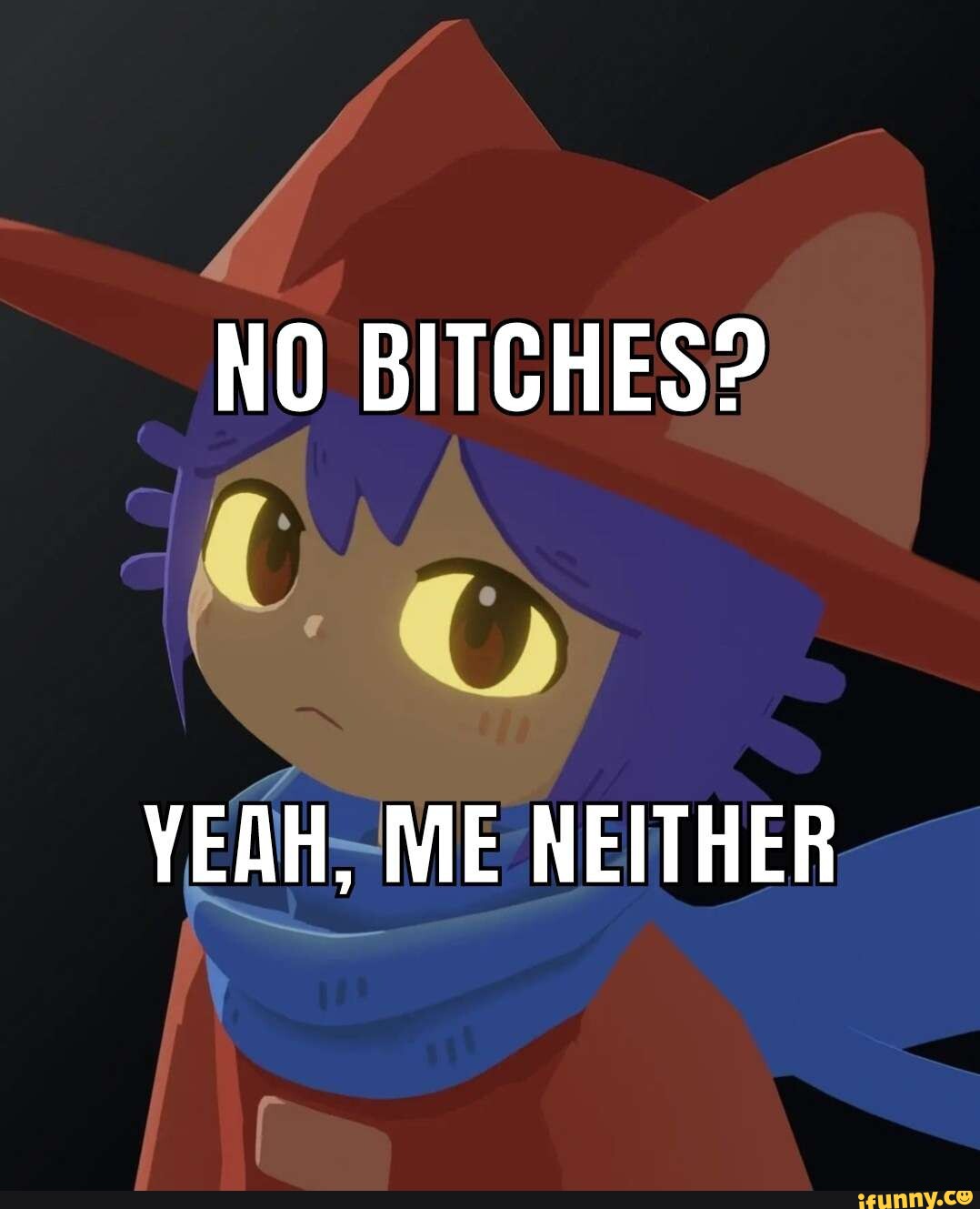 NO BITCHES? YEAH, ME NEITHER - iFunny