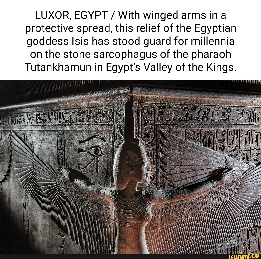 Luxor memes. Best Collection of funny Luxor pictures on iFunny