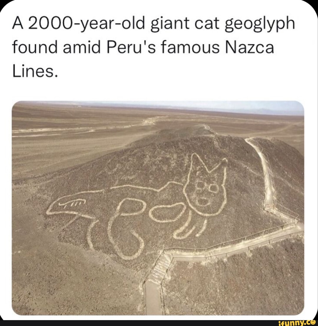 Nazca memes. Best Collection of funny Nazca pictures on iFunny