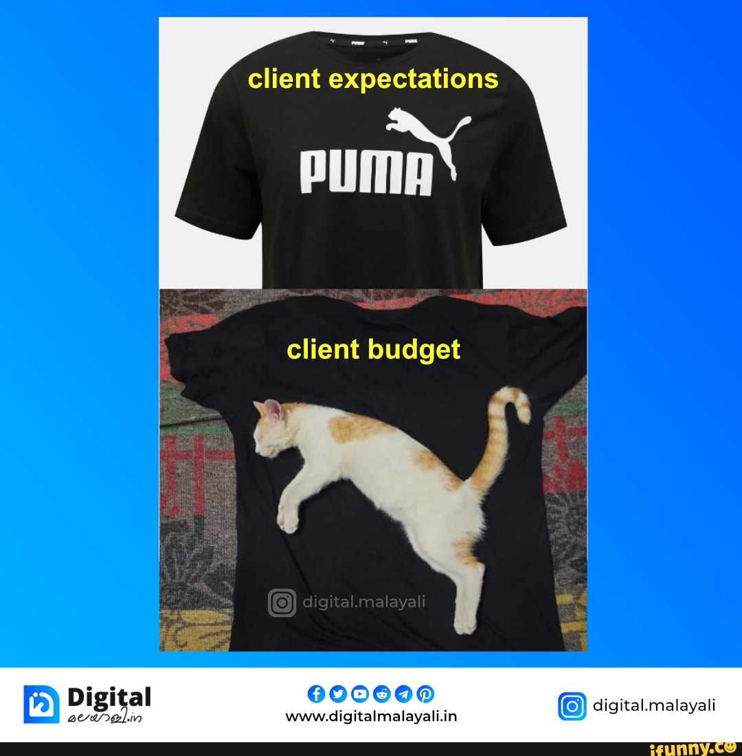 #memes #clients_from_hell #budget #expectation_vs_reality #funny ...