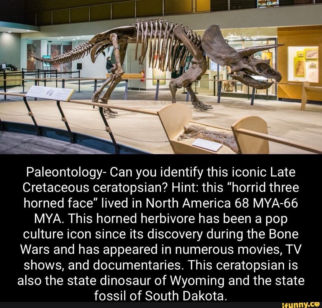 Paleontology- Can you identify this iconic Late Cretaceous ceratopsian ...