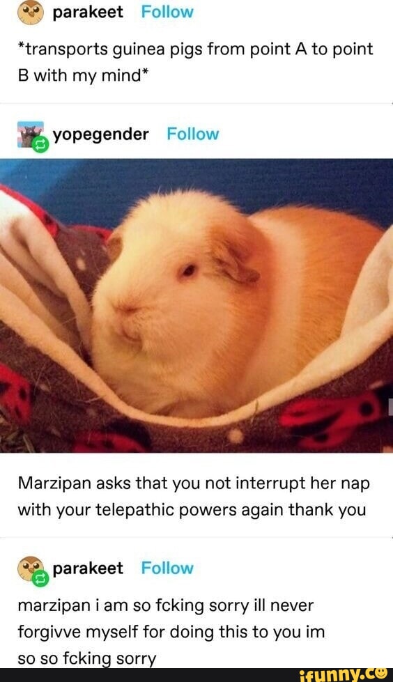 Marzipan memes. Best Collection of funny Marzipan pictures on iFunny