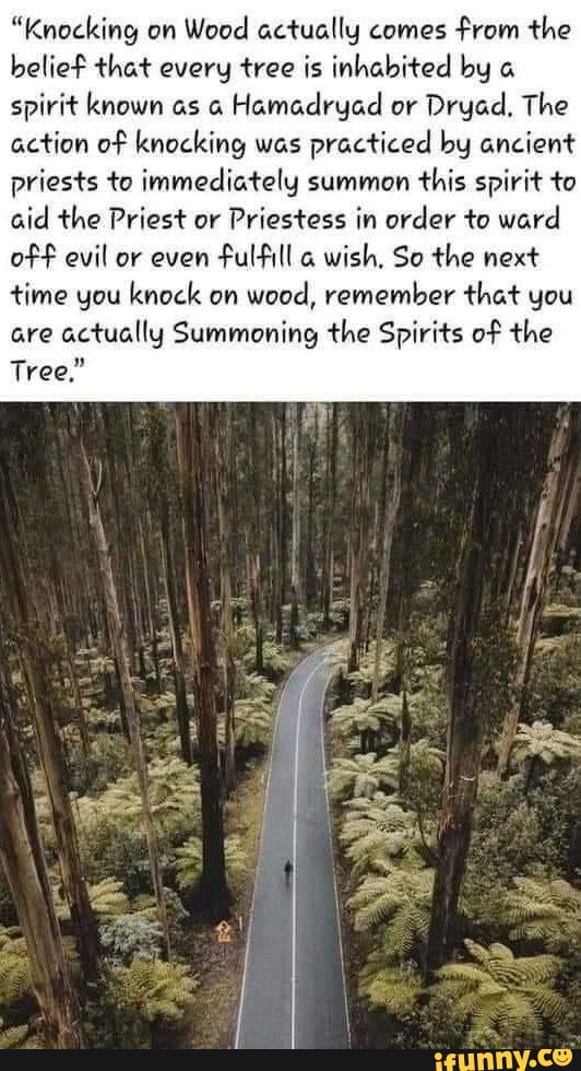 Dryad memes. Best Collection of funny Dryad pictures on iFunny