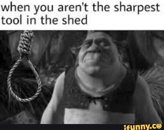 When you aren't the sharpest tool in the shed - iFunny